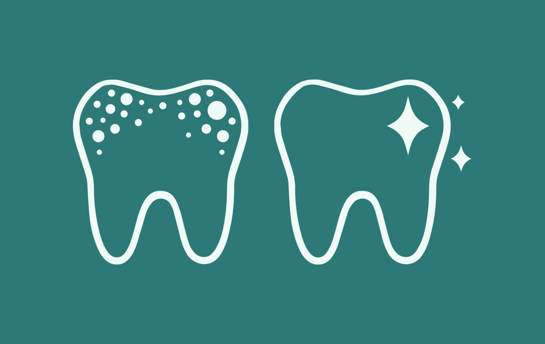 Gutology Toothpaste (1 Pack)