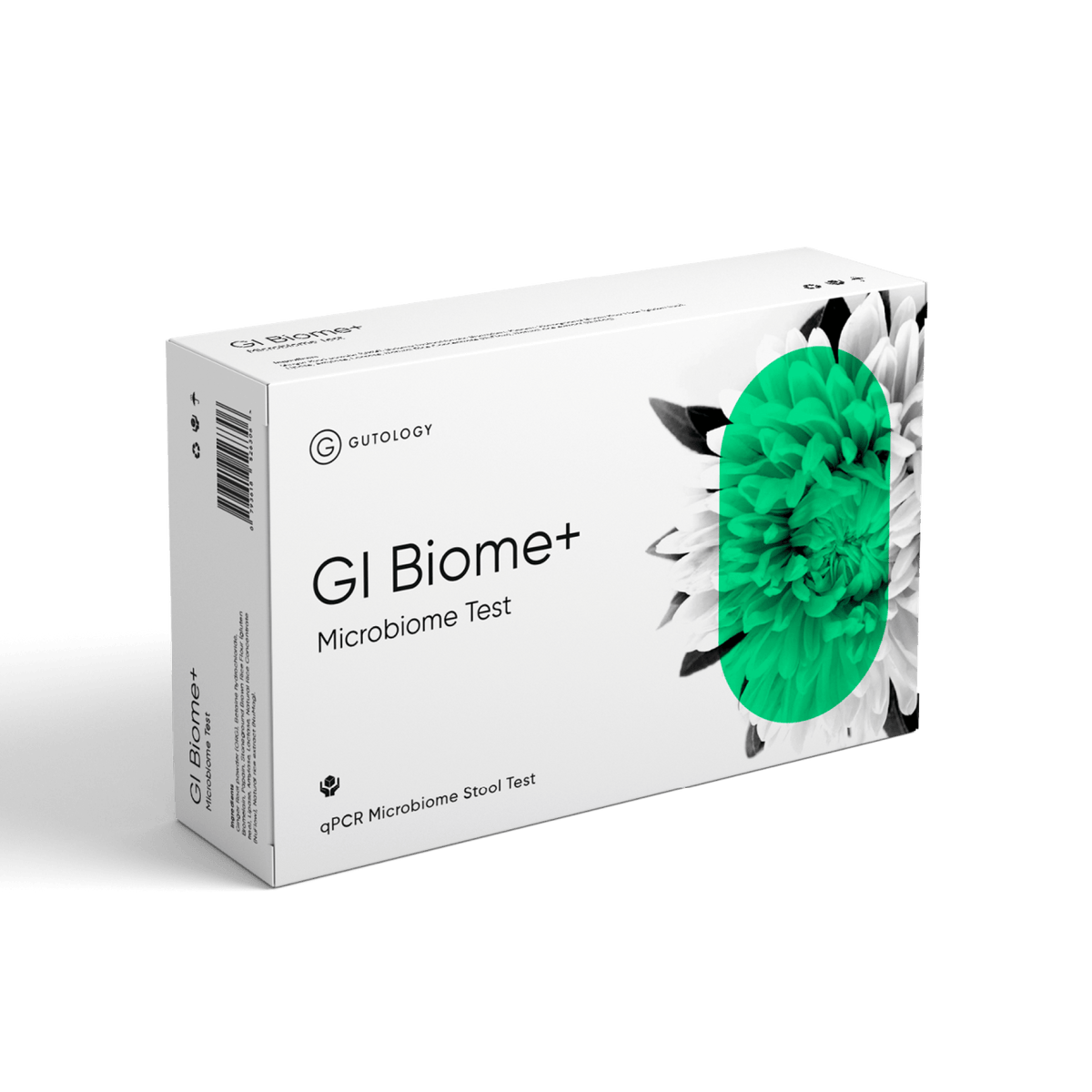 Here's How Your Gut Works From Top To Bottom – Gutology